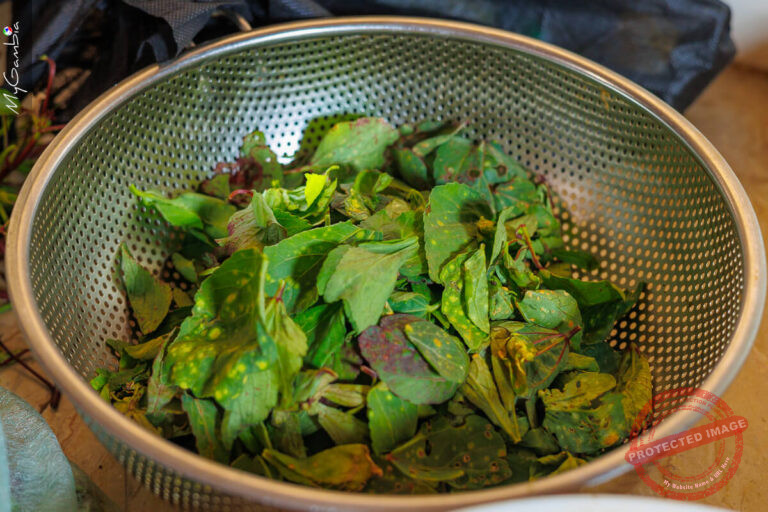 16 Healthy Fruits, Vegetables and Herbs growing in The Gambia | My Gambia