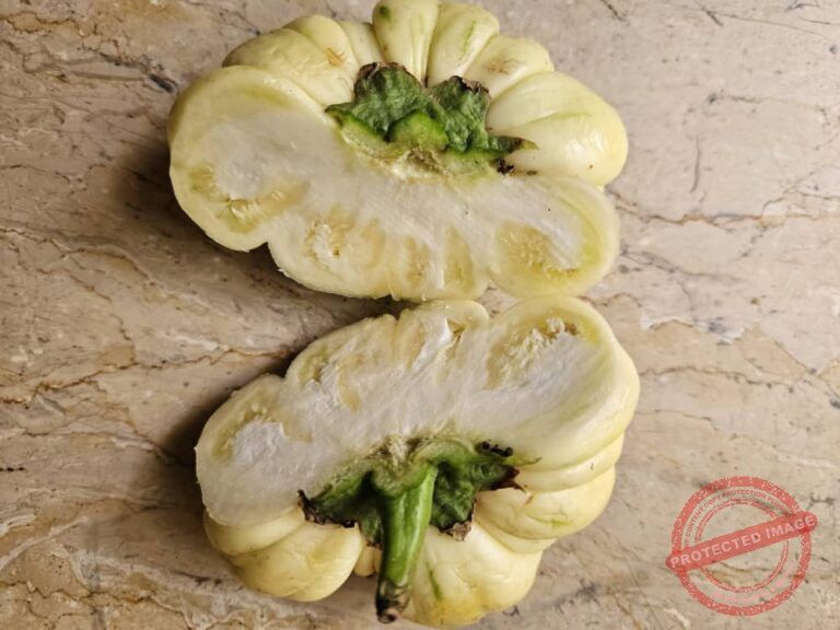 16 Healthy Fruits, Vegetables and Herbs growing in The Gambia | My Gambia